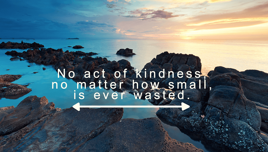 National Pay It Forward Day - Bio-One Chester